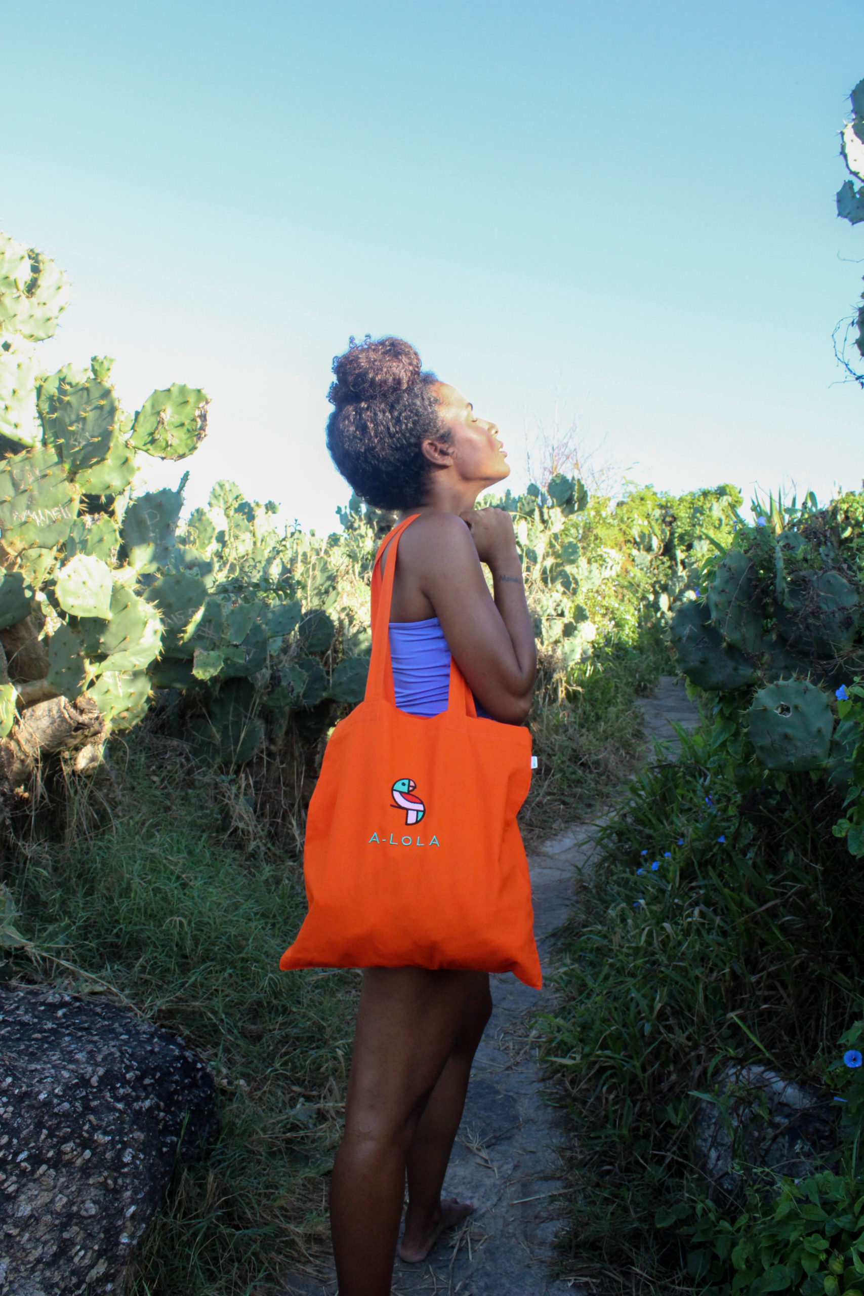A-LOLA – SIG Impact
