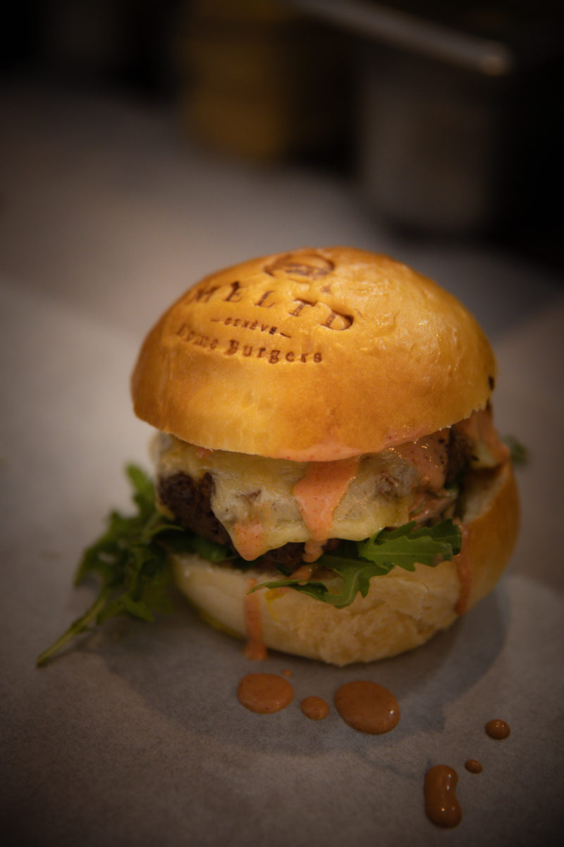 MELTD – SIG Impact